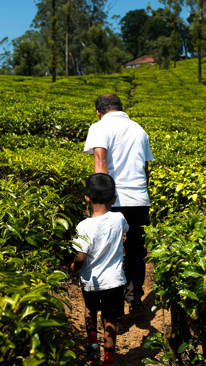 5 easy treks for kids in India