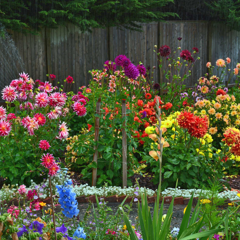 What Flowers Should I Plant In April Uk at George Bousquet blog