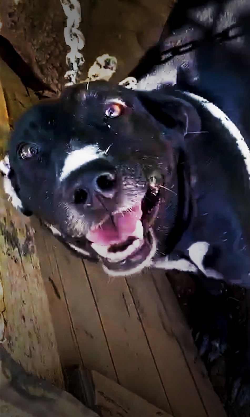 This Is The Moment He Was Freed From Chains